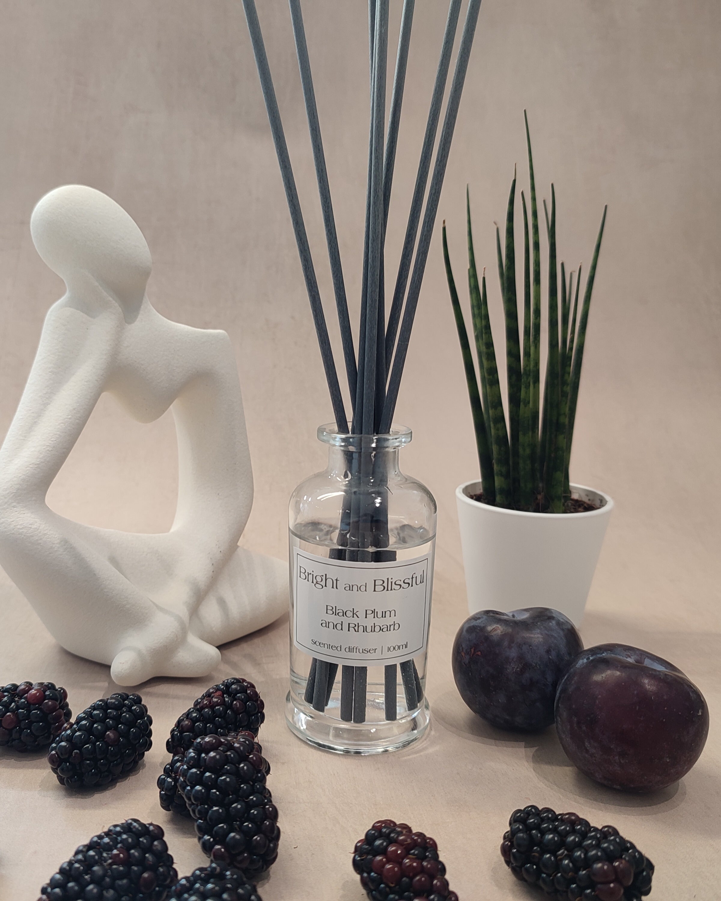 Black Plum and Rhubarb scented diffuser - 100ml bell – Bright and Blissful